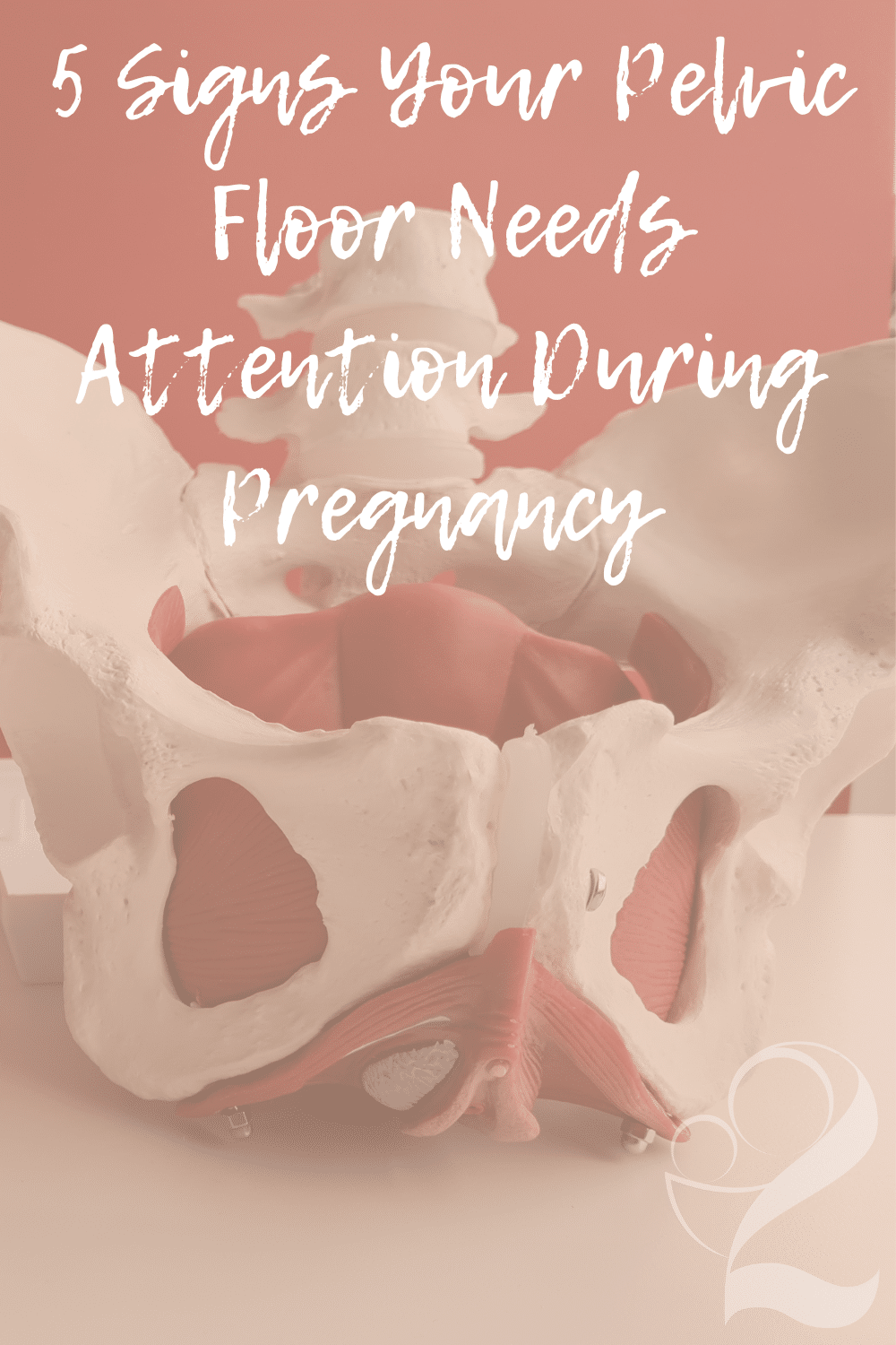 5 Signs Your Pelvic Floor Needs Attention During Pregnancy